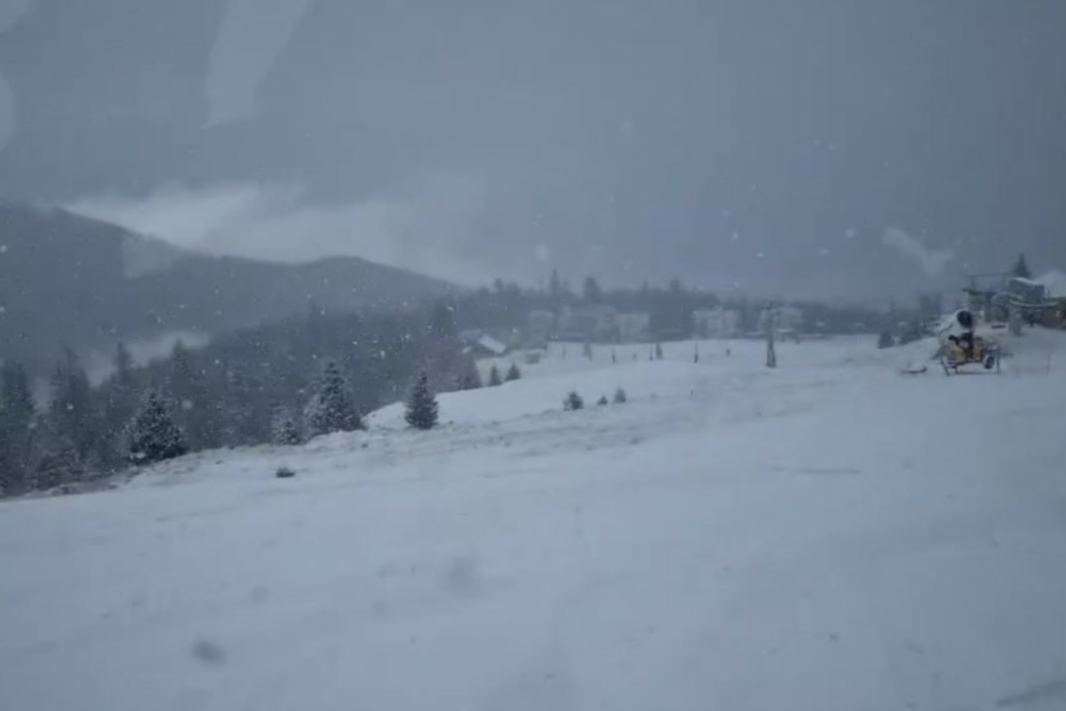 Ninsoare ca în povești în România! Stratul de zăpadă depus atinge ...