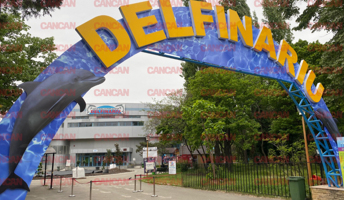 Noul tarif la Delfinariu Constanța. Cât costă biletul pentru o ...