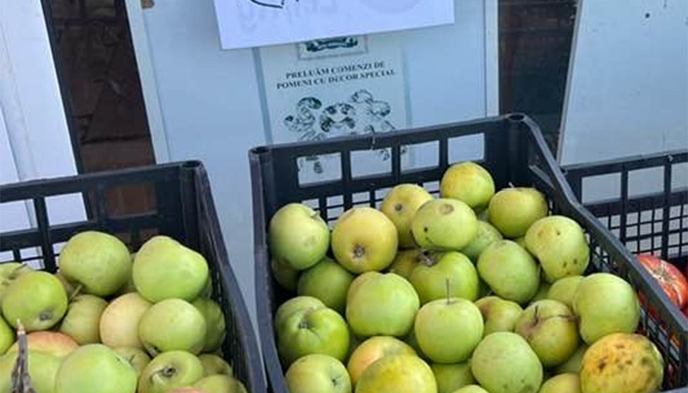 Nu s-a mai văzut așa ceva în toată România! Cu cât vinde acest ...