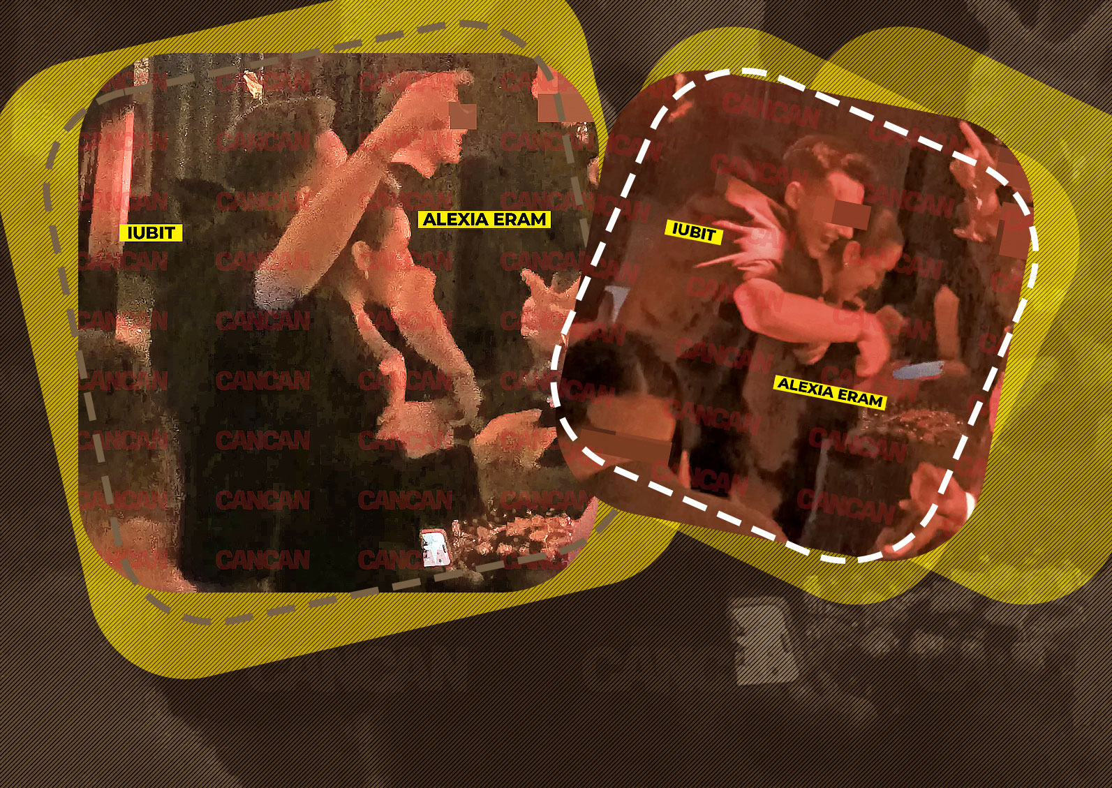 Imaginile care o vor uimi pe Andreea Esca! Alexia Eram, mângâiată şi ...