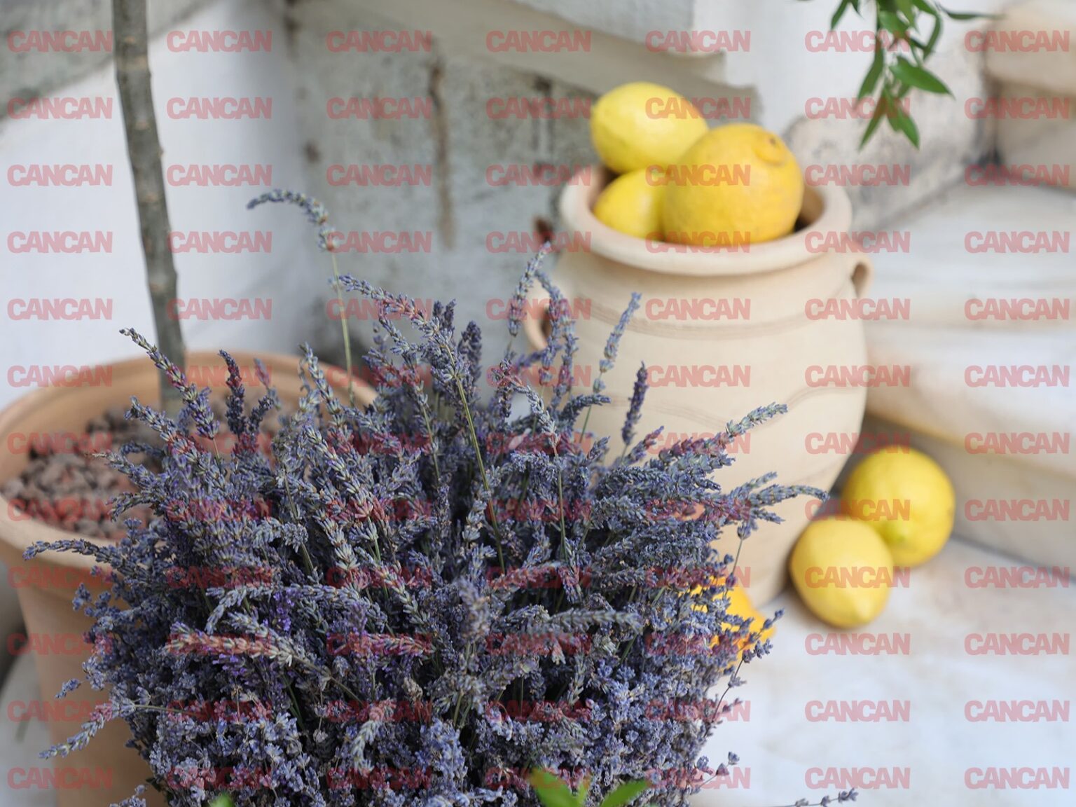 Ultimele pregătiri pentru nunta Kirei Hagi cu Thomas Ferfelis! Ce a ...