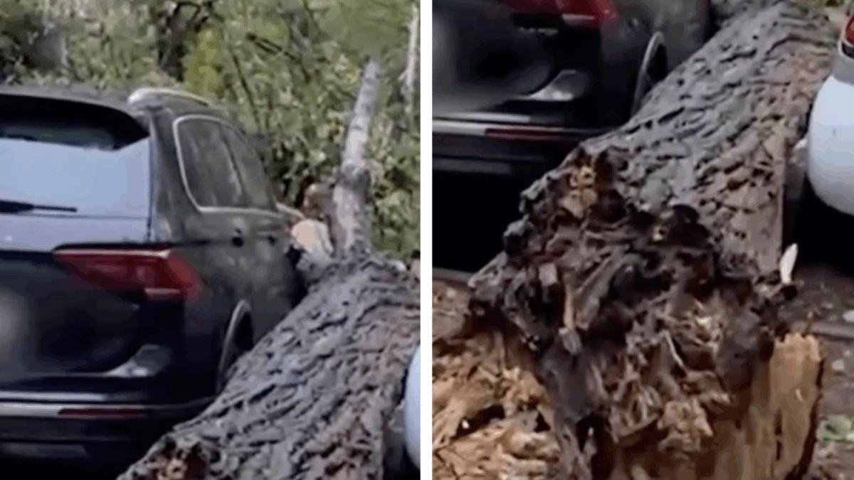 Capitala, lovită de ciclon! E cod roșu de potop în Oltenia