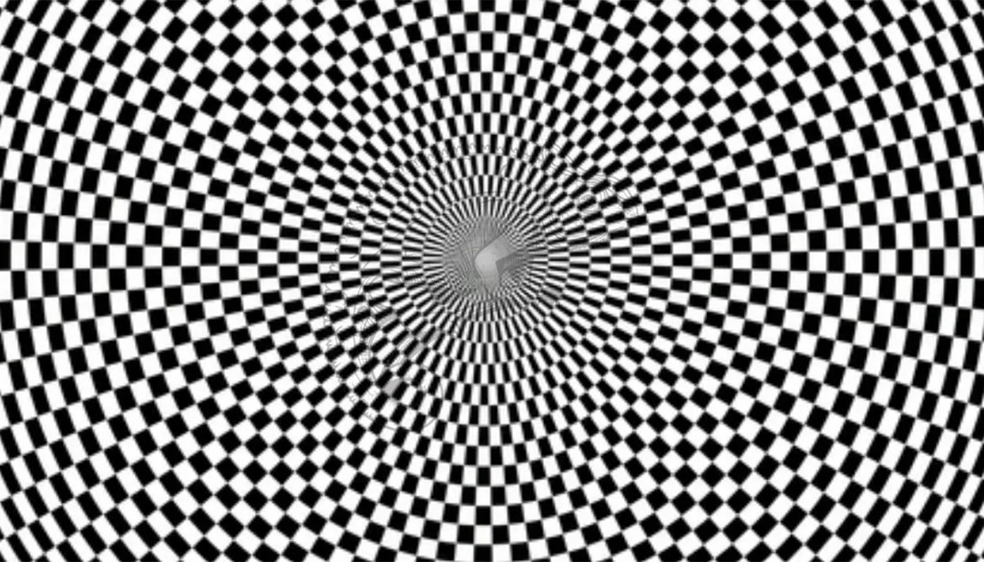 Iluzie optică virală | Exclusiv pentru genii: Ce animal se ascunde în ...