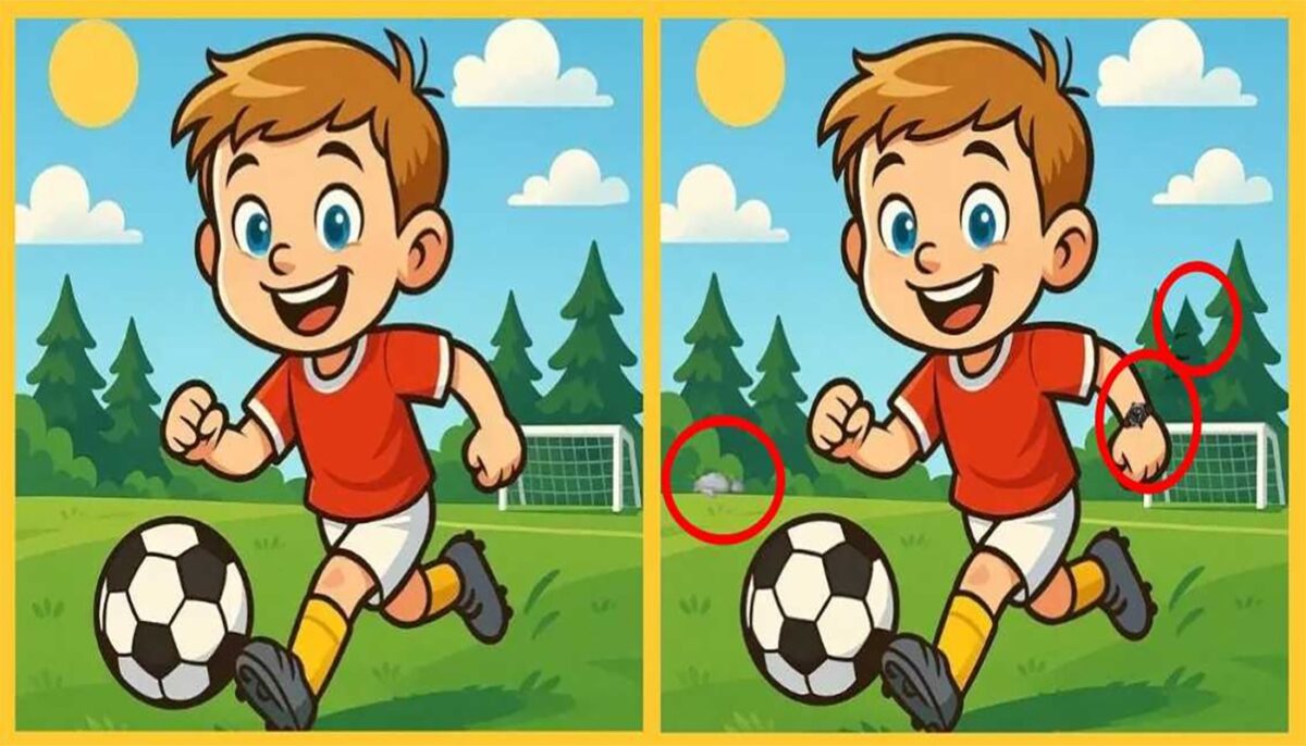 Test IQ | Există 3 diferențe între cele 2 imagini și ai la dispoziție ...