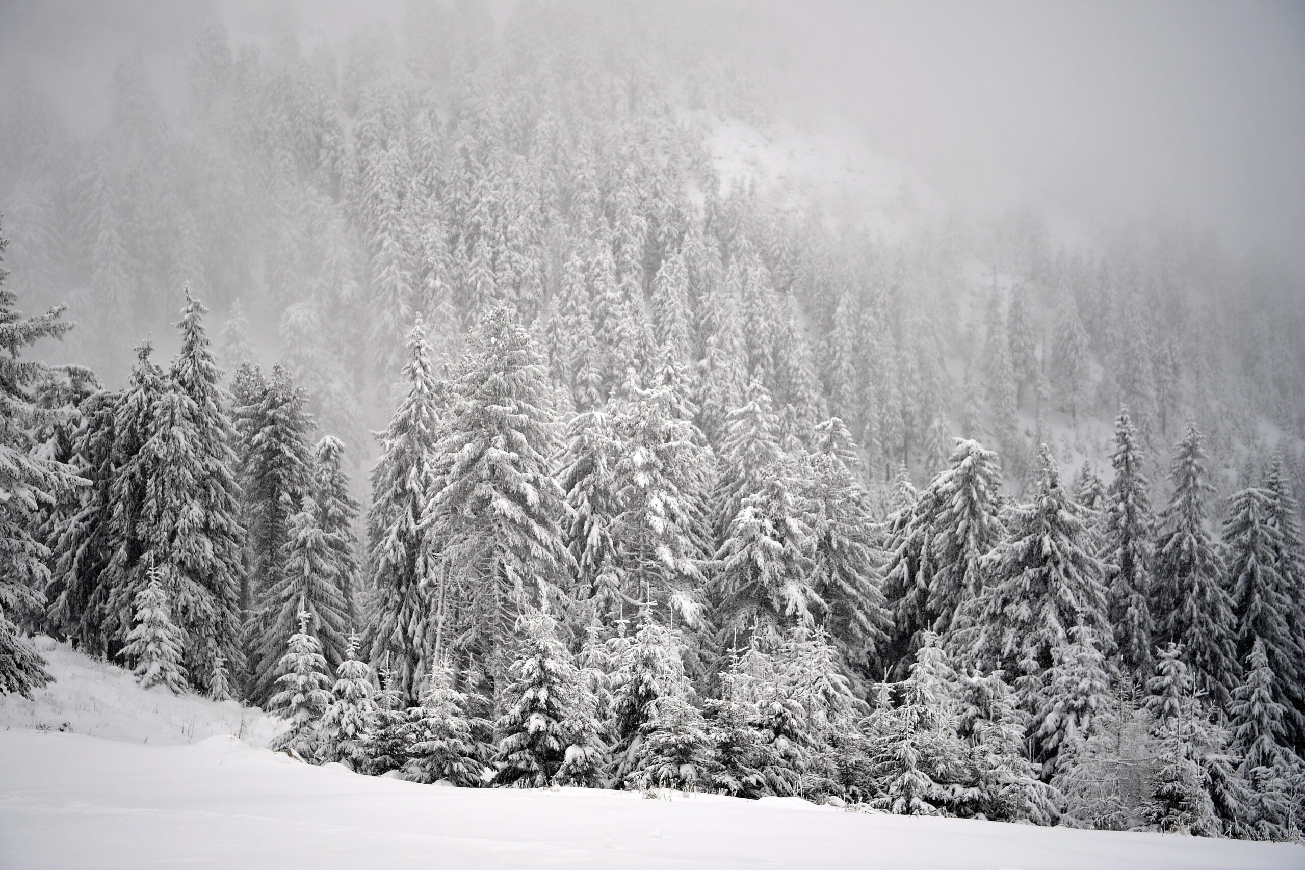 Informația care dă peste cap ancheta în cazul lui George, tânărul ...