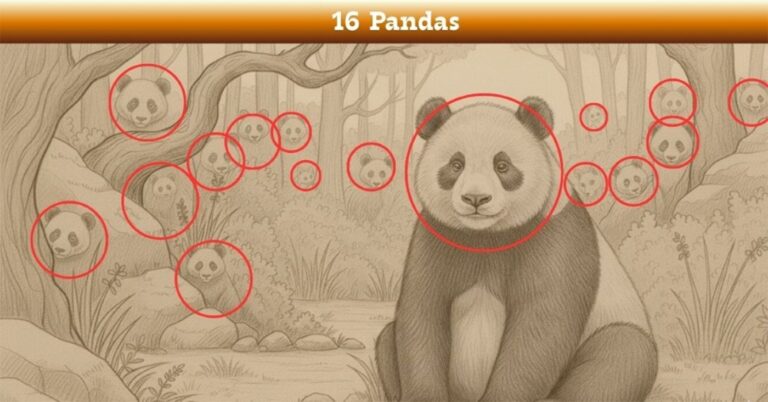 Test de perspicacitate | Câți ursuleți panda sunt, în total, în această ...