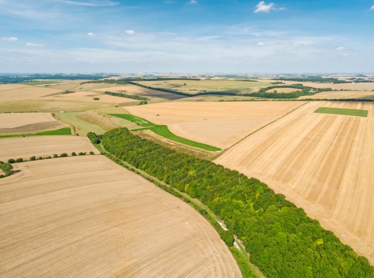 Cât costă un hectar de teren agricol în 2026. În ultimul an, prețul a ...