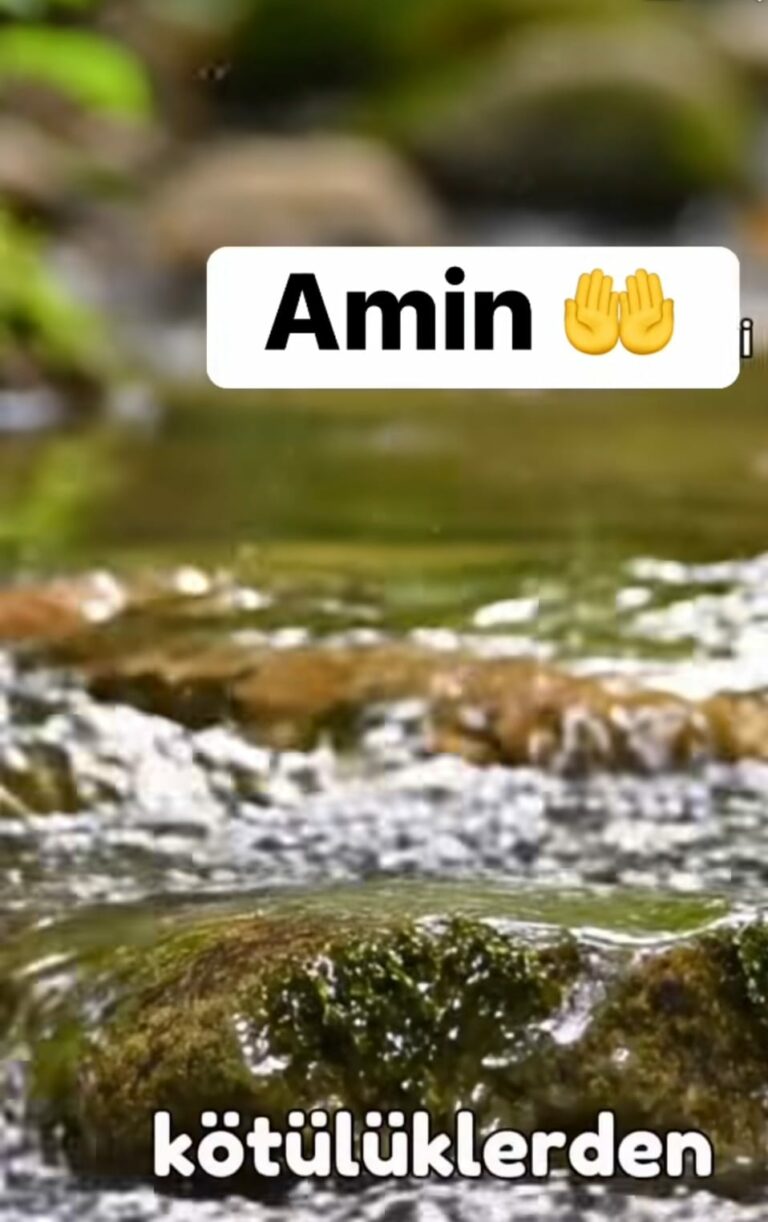 Ce a publicat Memis Selciuc cu puțin timp înainte de a se stinge din ...